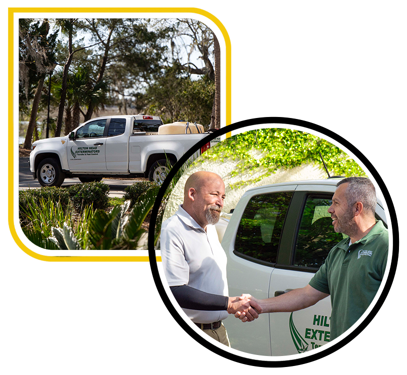 Hilton Head Island Pest Control | Hilton Head Exterminators