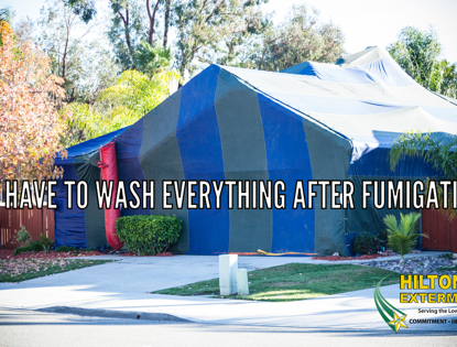 Hilton Head Island Pest Control | Hilton Head Exterminators