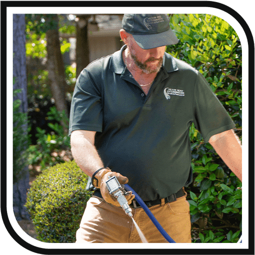 Hilton Head Island Pest Control | Hilton Head Exterminators
