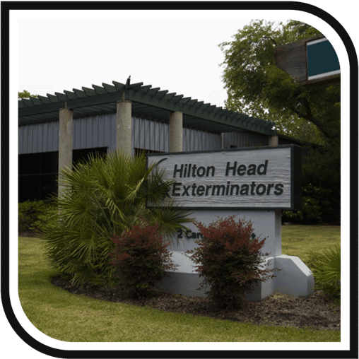 Hilton Head Island Pest Control | Hilton Head Exterminators