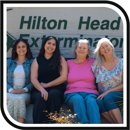 Hilton Head Island Pest Control | Hilton Head Exterminators