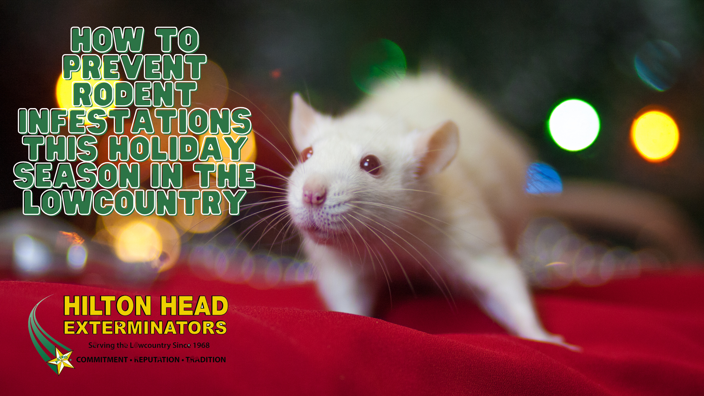 Holiday rodent prevention Lowcountry